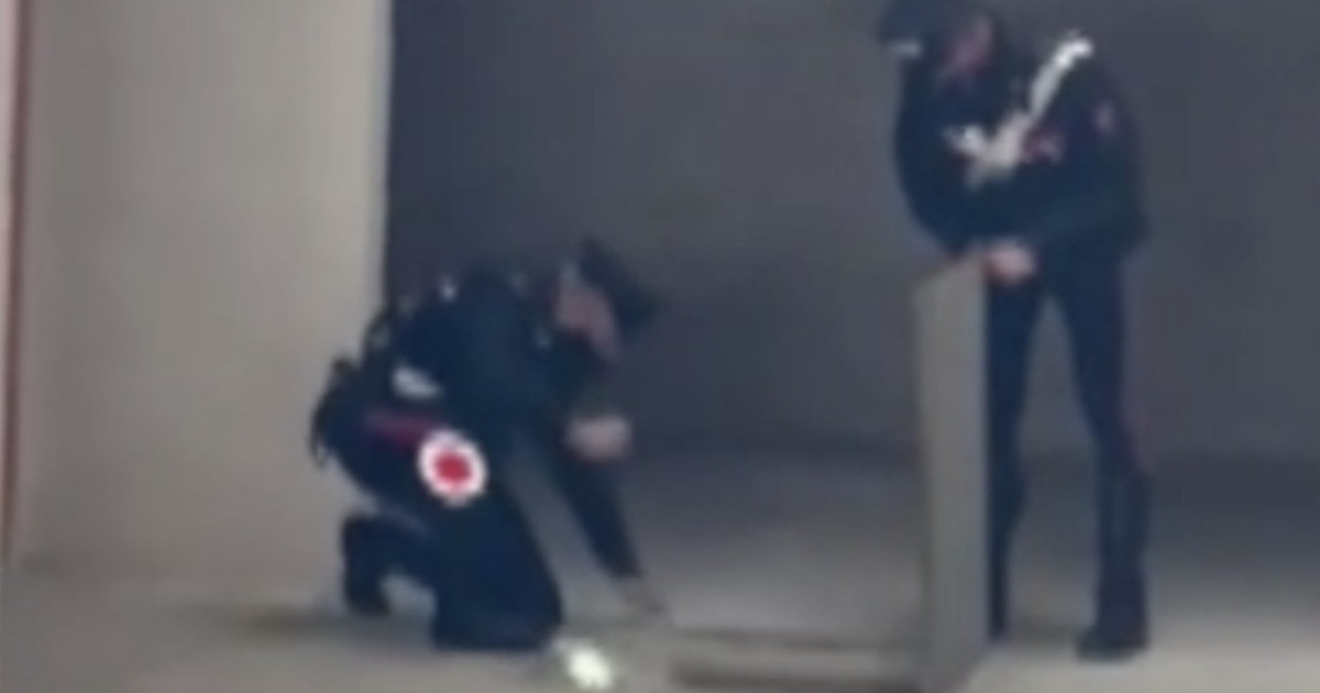 Denise Pipitone, trovato un pozzo sotto la botola: "Lo stanno svuotando ...