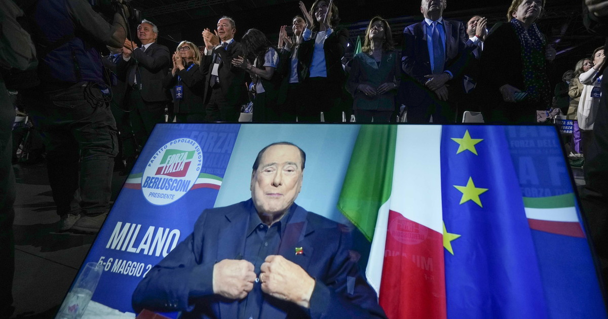 Forza Italia, l'analista Tiberio Brunetti: "Ecco il suo vero futuro ...