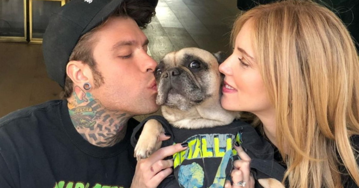 Ferragni e Fedez, insulti dopo la morte del cane: "Che schifo posso ...
