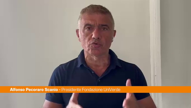 Turismo, Pecoraro Scanio "Serve una strategia complessiva" – Libero ...