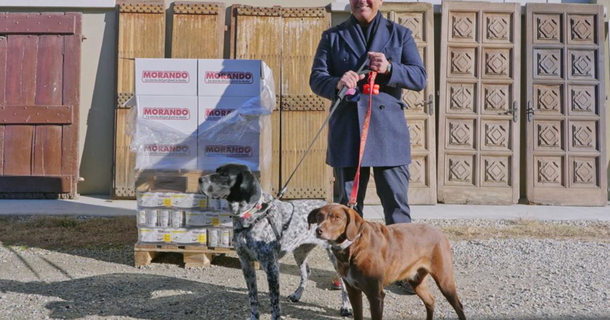 I politici fanno incetta di like con cani e gatti, Giovanni Toti in top ...