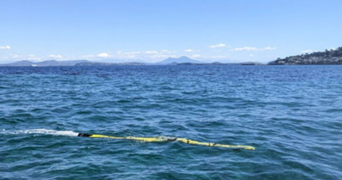 Etleboro.org - Terna, al via sperimentazione drone sottomarino per ...