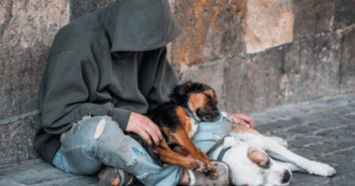 Torino, falsi mendicante col cane: degrado e vergogna, da dove arrivano ...