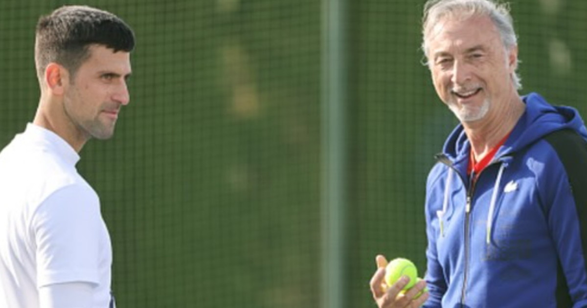 Djokovic fa fuori un altro italiano: via Panichi, terremoto interno ...