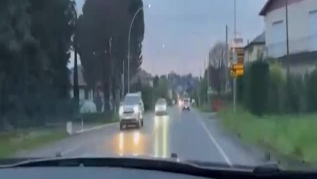 Mafia turca, il video dell'arresto del presunto boss Baris Boyun ...