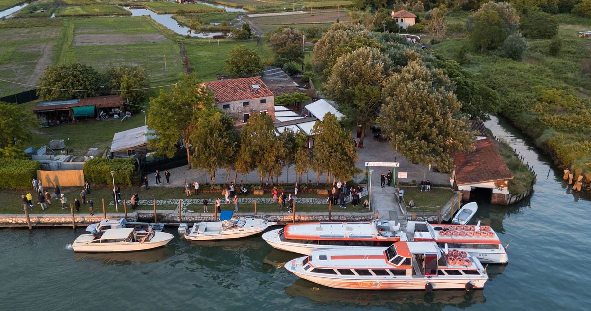 L'Isola Le Vignole: rinasce un angolo di paradiso della Laguna di ...