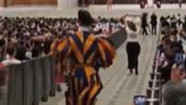 Vaticano, animalisti protestano durante l'udienza del Papa: "La corrida ...