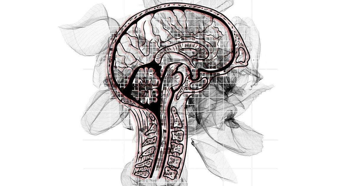 Alzheimer, lo spray nasale che può cambiare la lotta alla malattia ...