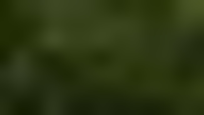 Ecco Qwarzo, una tecnologia innovativa a base minerale | Libero ...