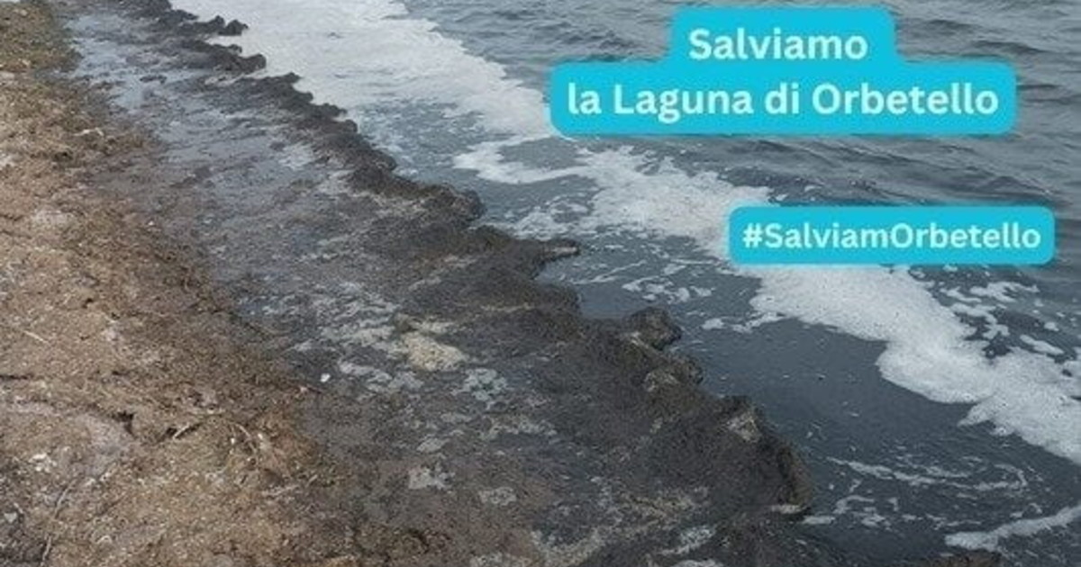 Orbetello in lockdown, l'invasione di moscerini terrorizza i residenti ...