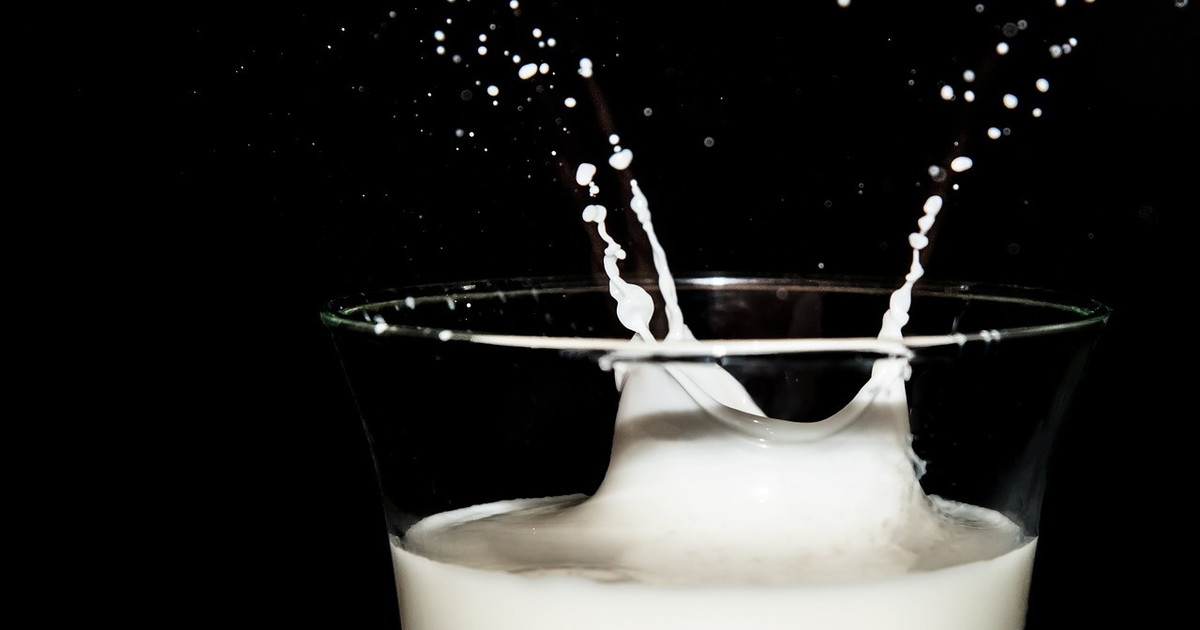Latte intero, tutta la verità: quanto berne, perché può far bene ...