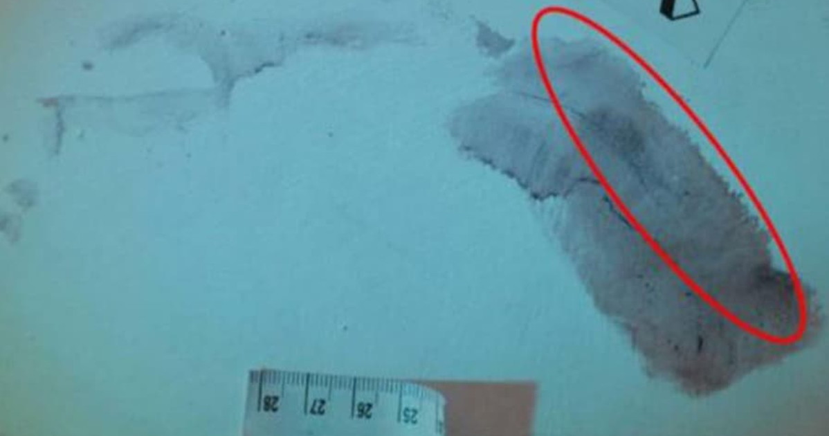 Garlasco, la scoperta sull'impronta 33: perché ora crolla il caso ...
