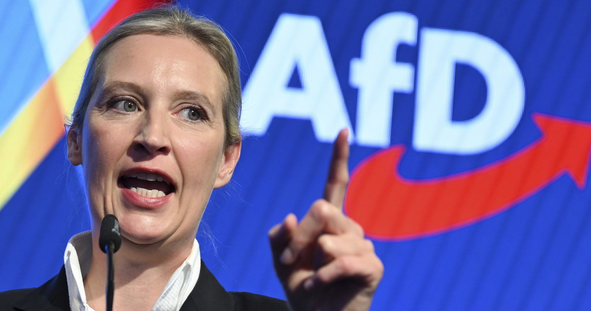 Afd a valanga in Germania: vola al 39 per cento | Libero Quotidiano.it