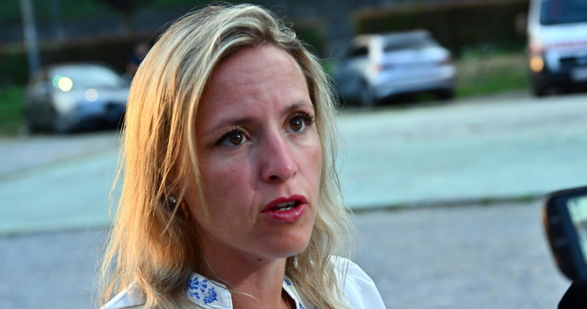 Silvia Sardone spiana i pro-Pal: "Come i terroristi, il vero volto ...