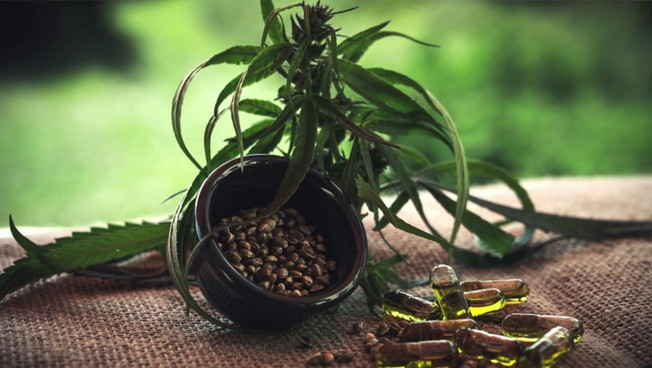 Il cannabidiolo riduce i sintomi di una forma di epilessia | Libero ...