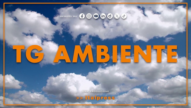 Tg Ambiente - 31/5/2026 | Libero Quotidiano.it