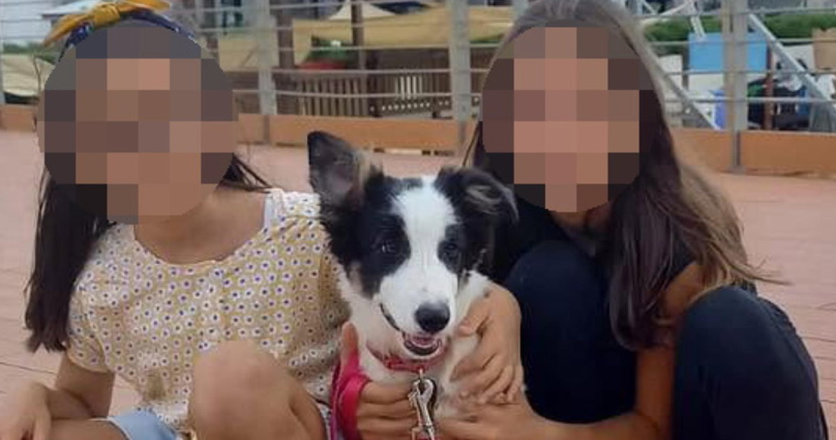 Sarah e Alisya, la zia che le ospitava: "Mi hanno messo in mezzo. Ma ...